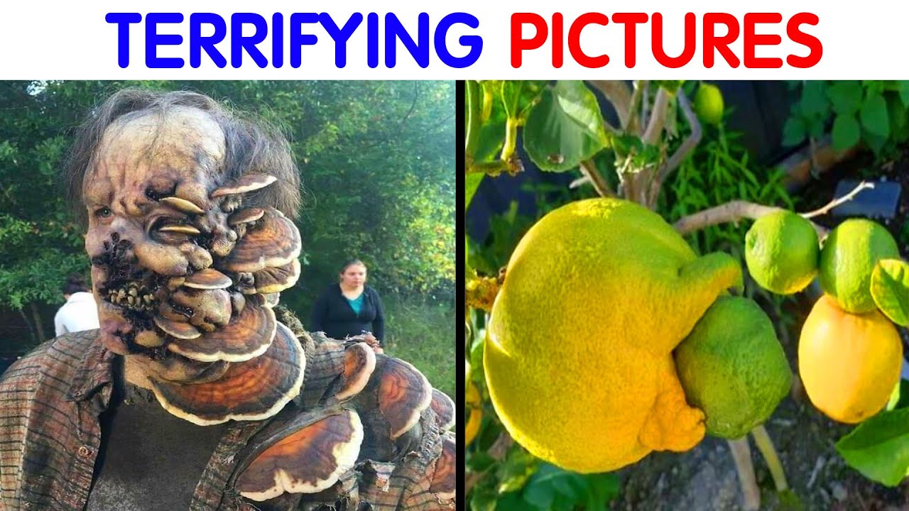 Deeply Unsettling: 50 Terrifying Pictures To Give You The Creeps - YouTube