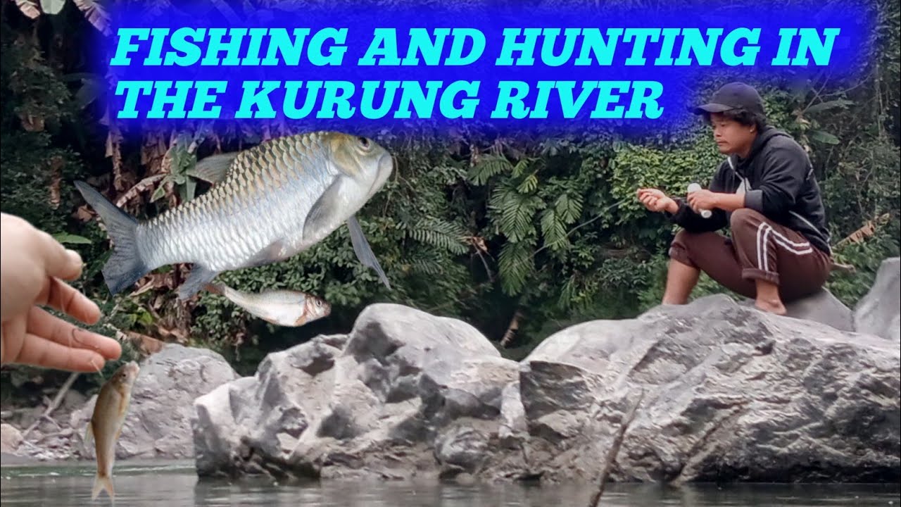 fishing 🎣@kurung river - YouTube