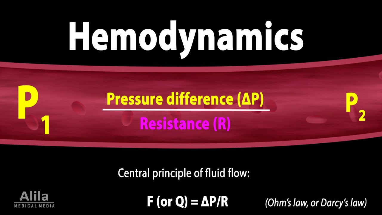 Principles Of Hemodynamics Animation Youtube