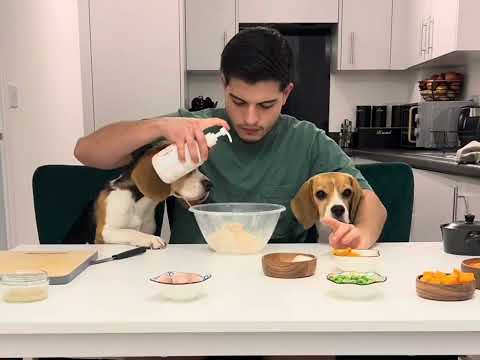 COOKING WITH BEAGLES // peanut butter + banana cookies
