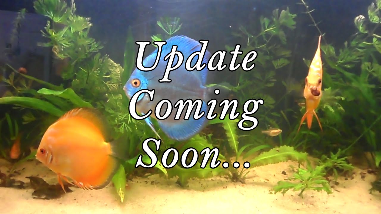 Update Soon... - YouTube