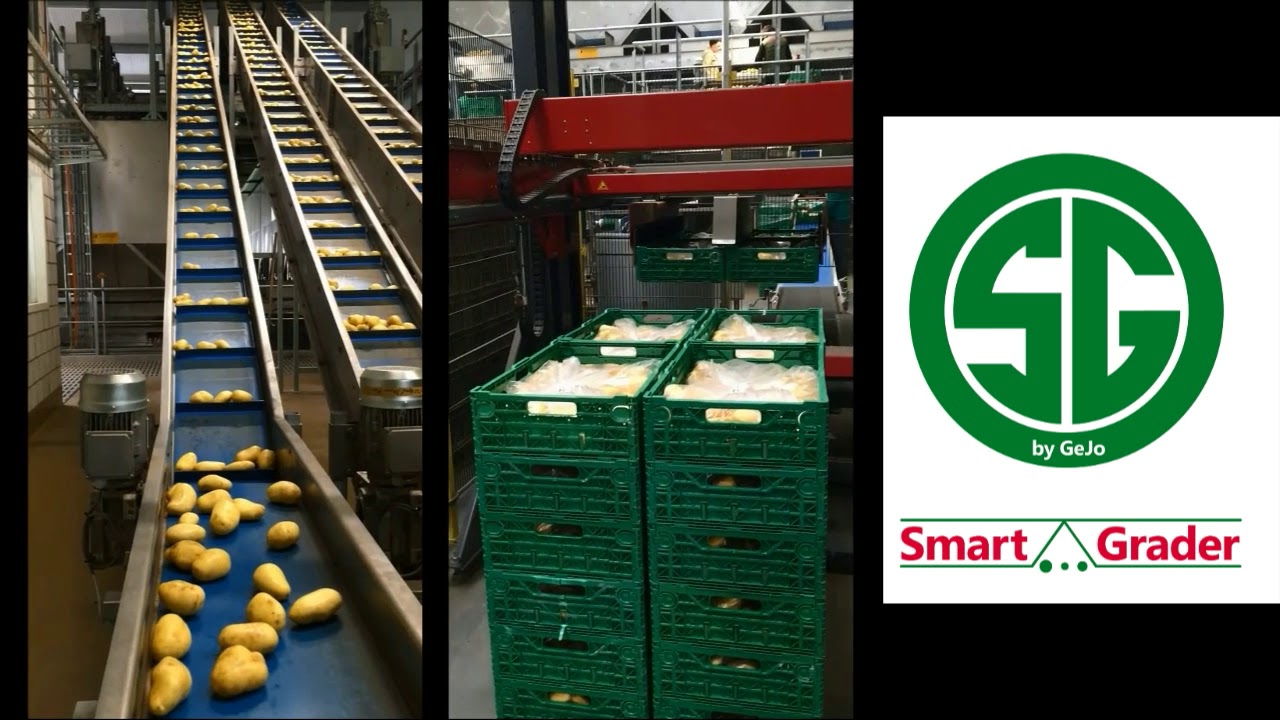 Grading potatoes on size, shape, volume and quality with the Smart ...