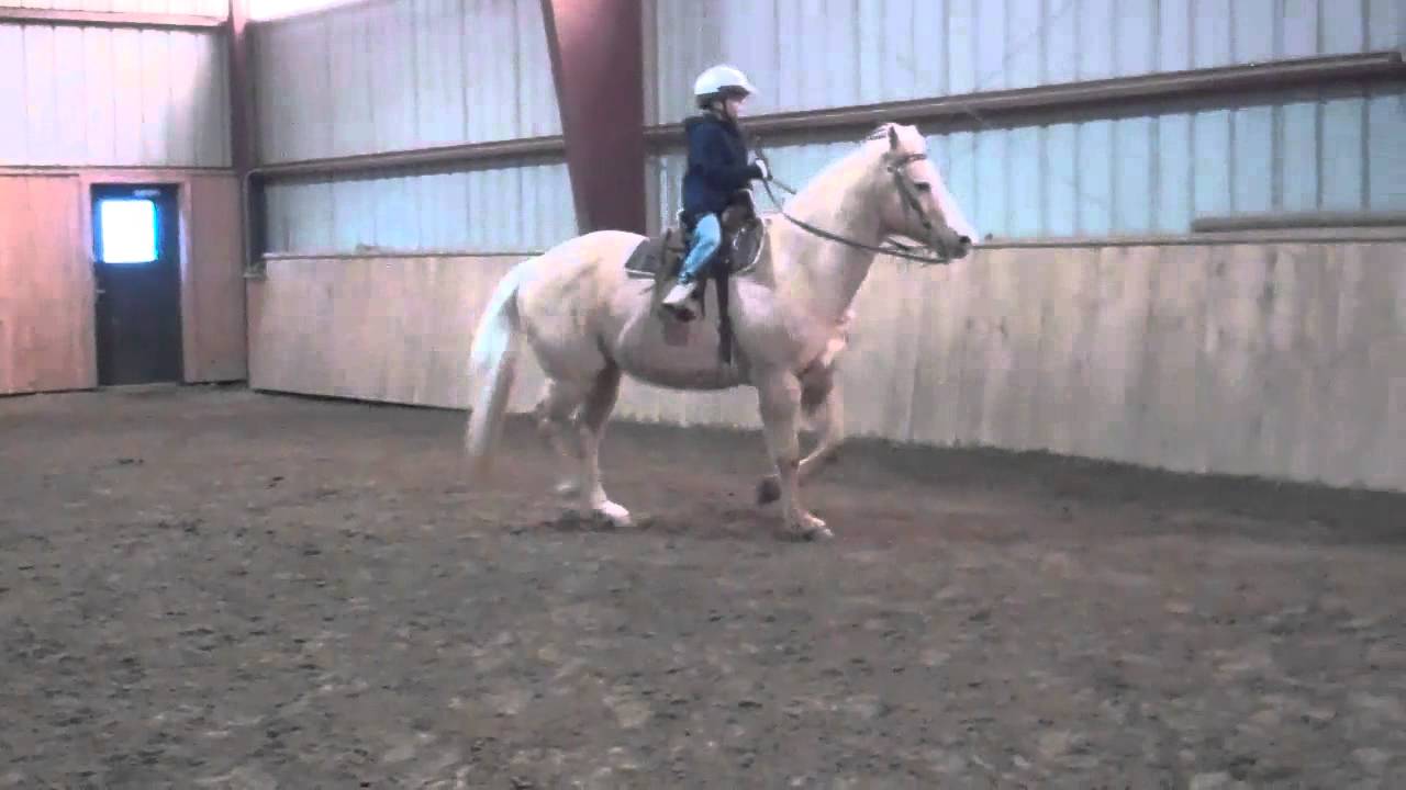 Trotting - YouTube