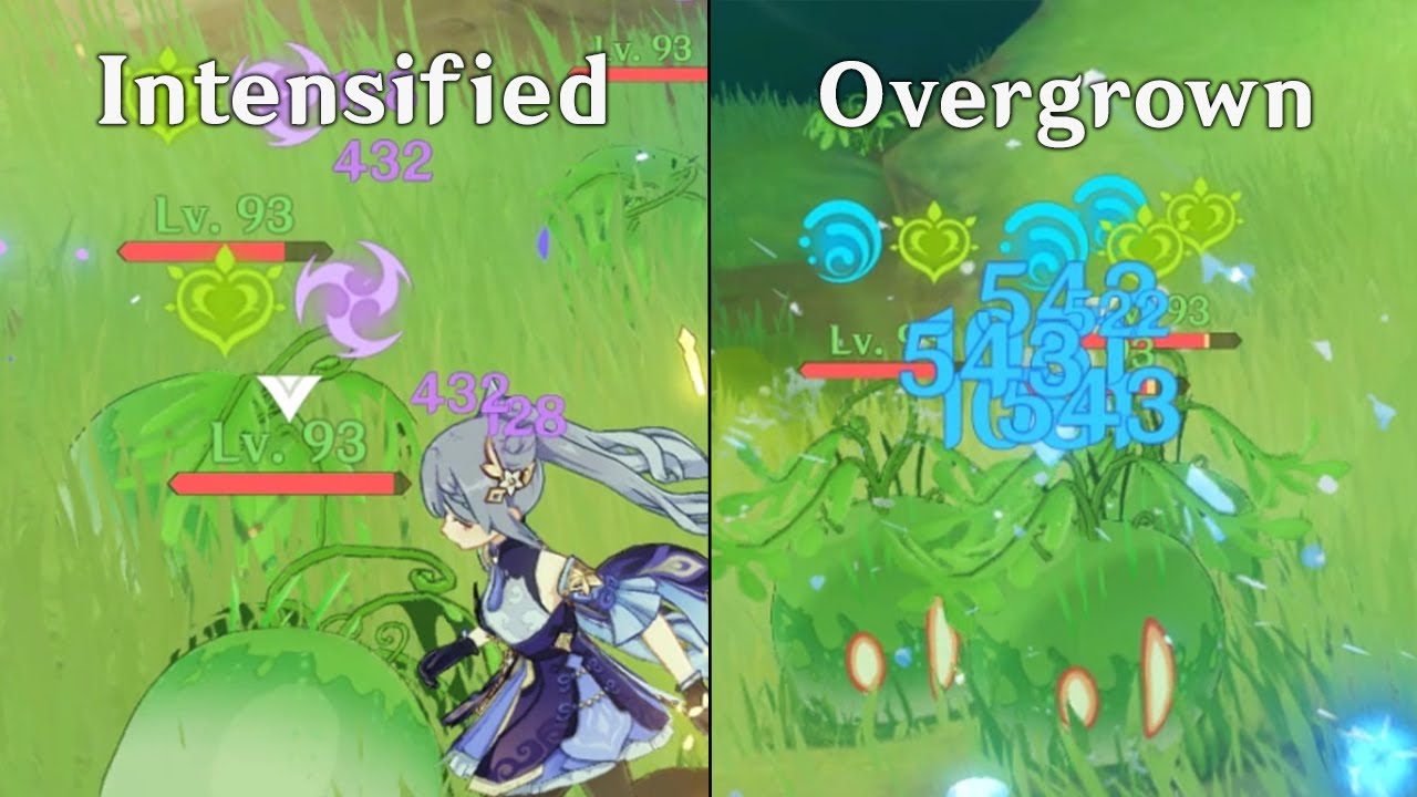 FINALLY!! These Are The New Dendro Reactions In 3.0 - Genshin Impact ...