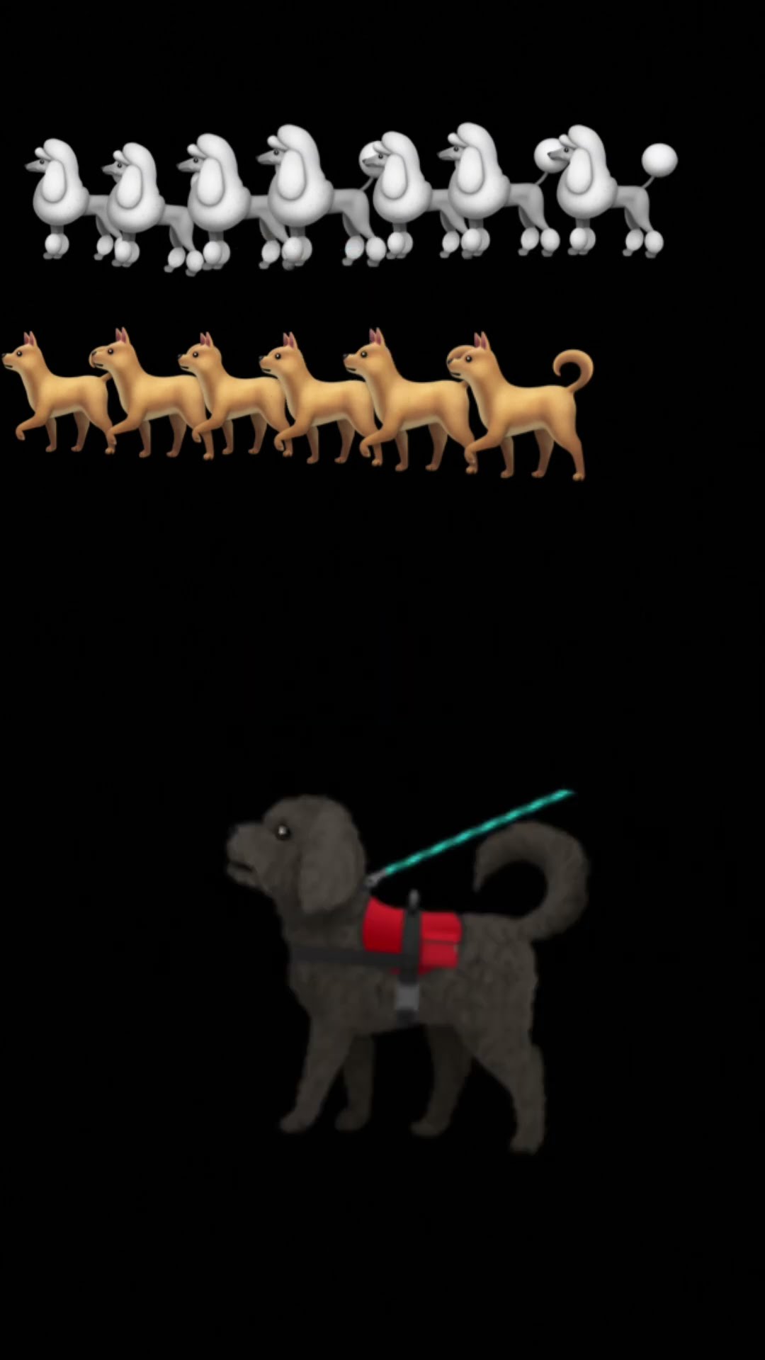 #dog 🐶 - YouTube