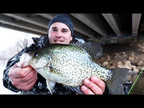 Where is the best crappie fishing in Wisconsin?