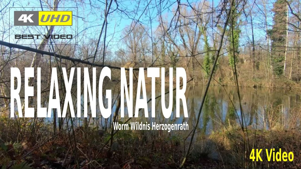 Relaxing Worm Wildnis Relaxing Natur Erholung Entspannungsmusik ...