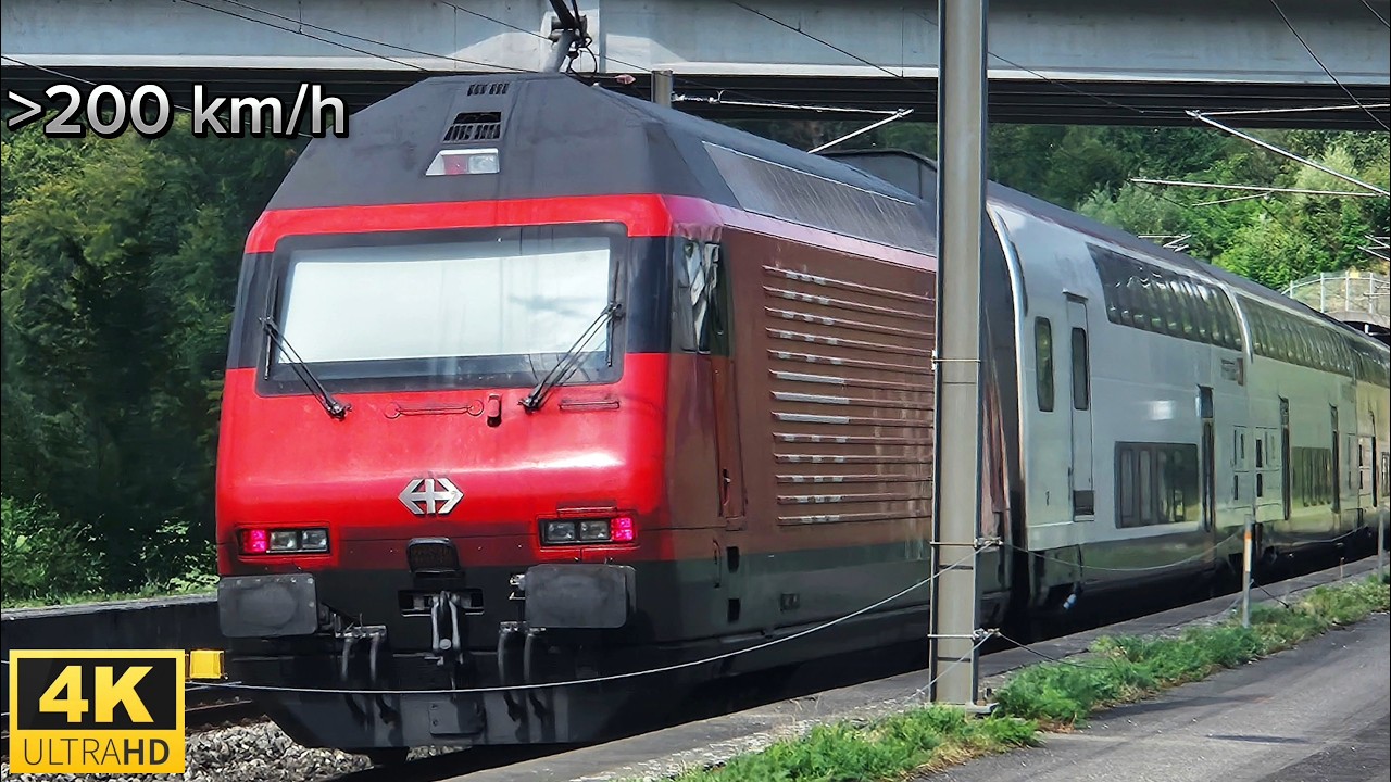 SWISS TRAINS AT HIGH SPEEDS • 200+ km/h • Roggwil-Wyrnau • 16. 8. 2024 ...
