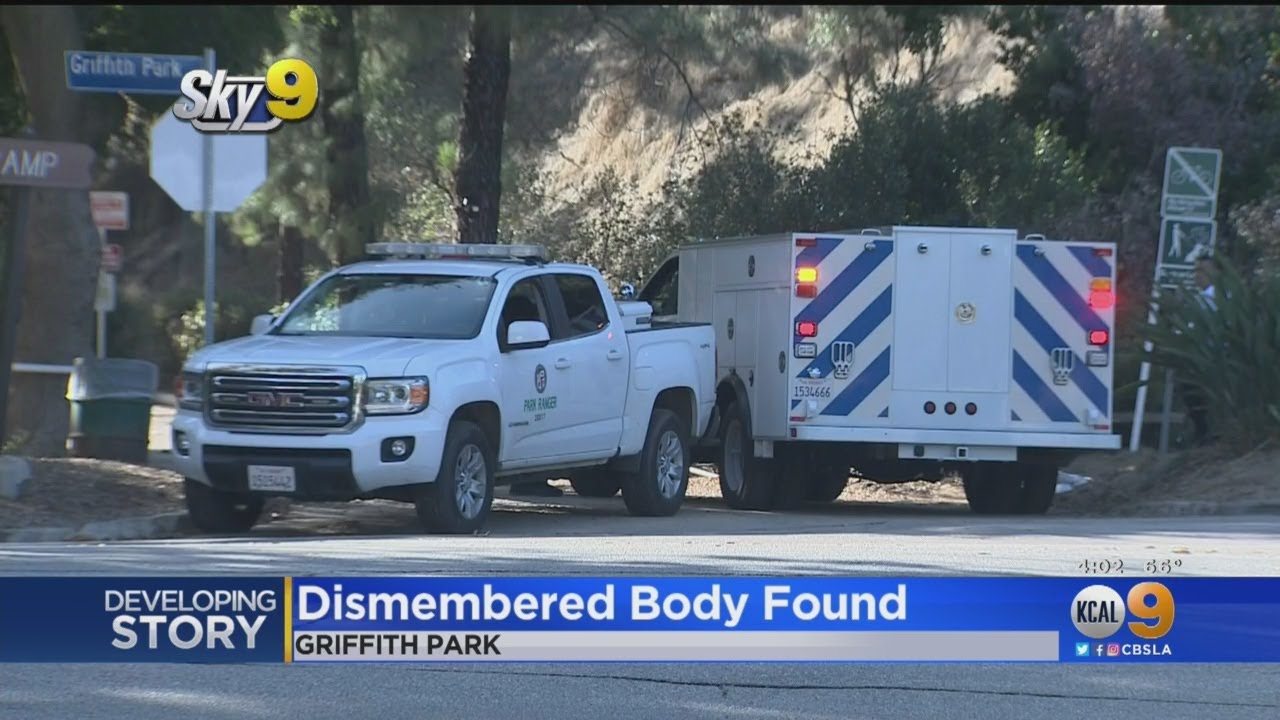 Hiker Stumbles Onto Decapitated Body In Griffith Park - YouTube