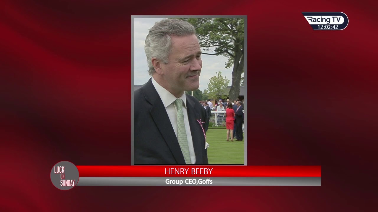 Henry Beeby - Group CEO, Goffs - Covid 19 - Racing TV - YouTube