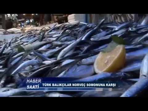 İHA TV Network - Haber Saati