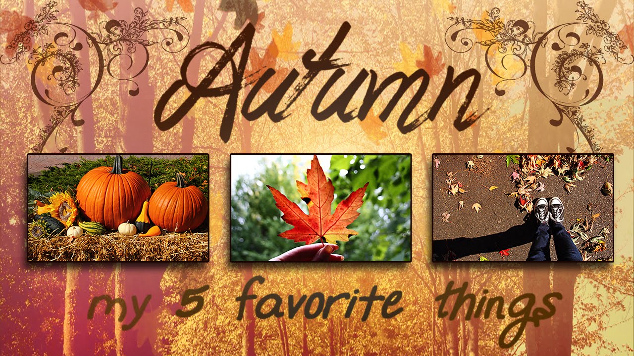 AUTUMN | My 5 Favorite Things! - YouTube