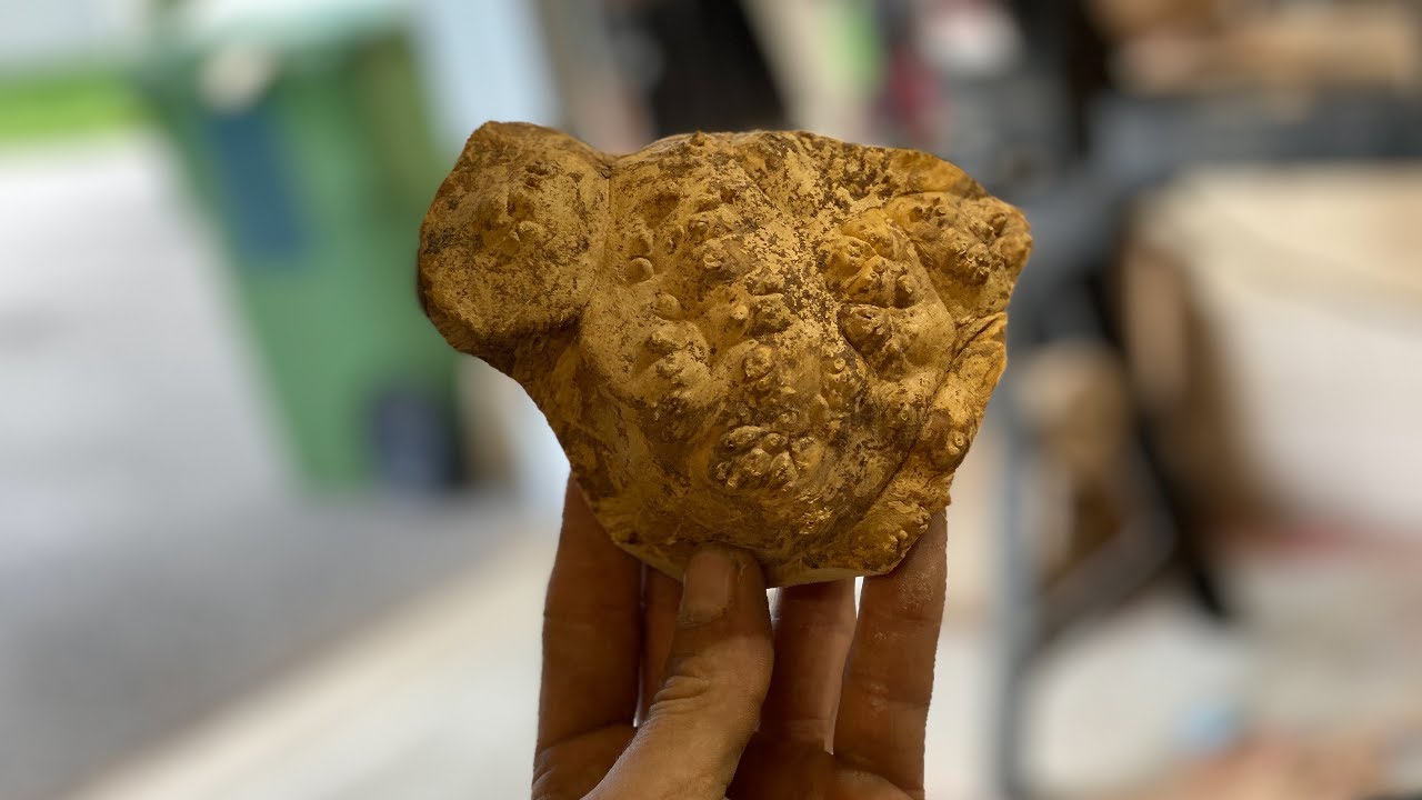 Woodturning - The Fusion of the Burl/Burr - YouTube