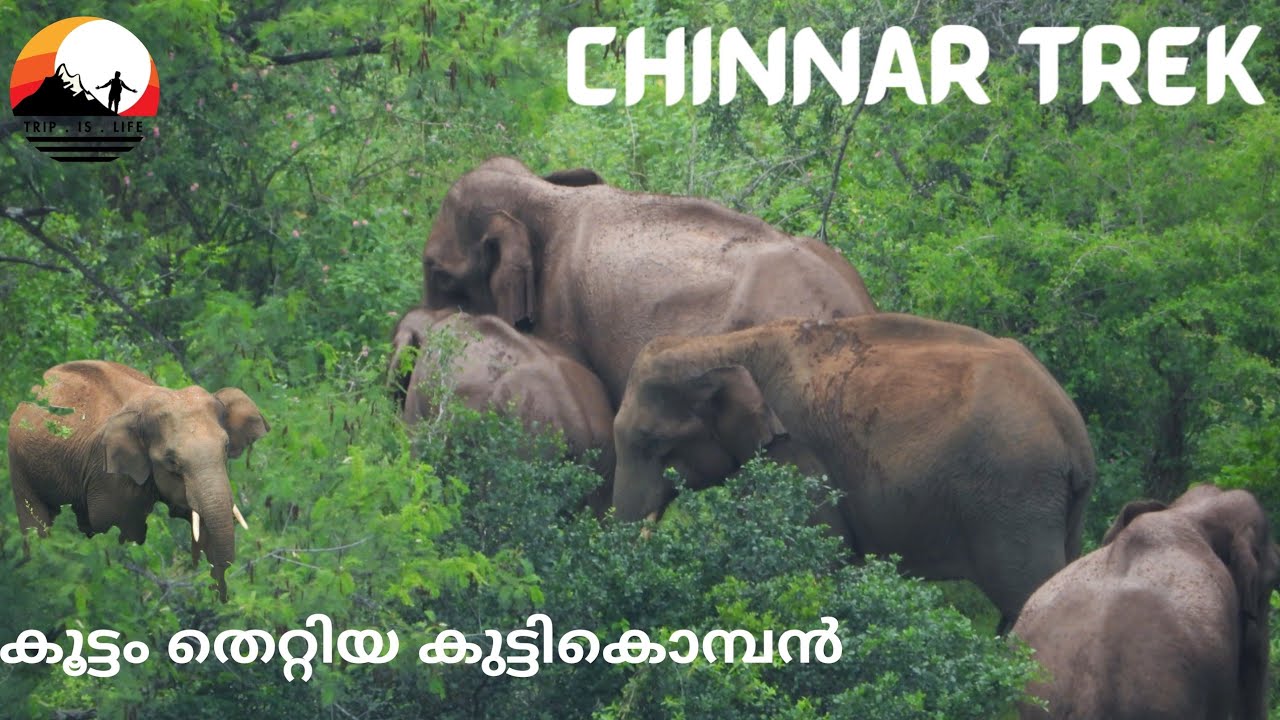 Chinnar Forest Trekking - YouTube