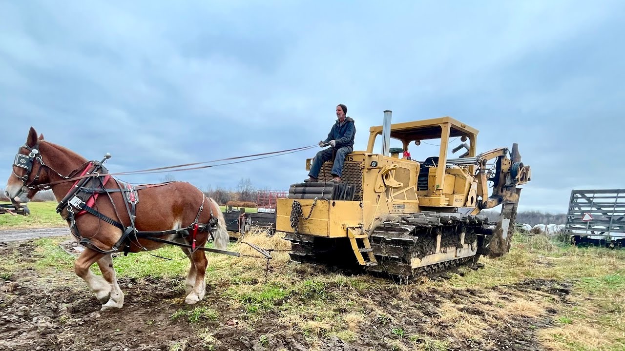 Bill hopes this Machinery doesn't get stuck!!! // Tiling our Farm #705 ...