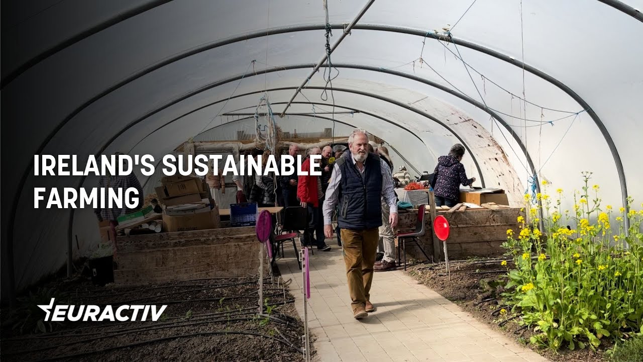 Voices from the field: The future of Ireland’s sustainable farming ...