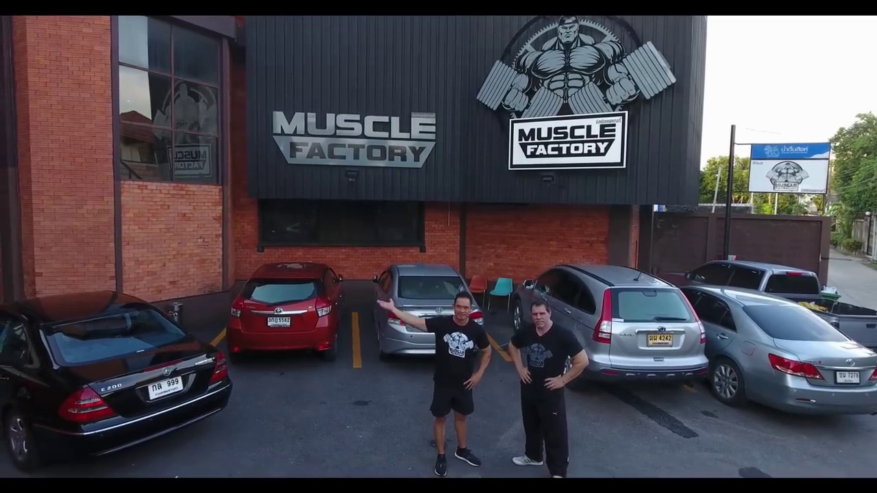 Muscle Factory Bangkok - YouTube