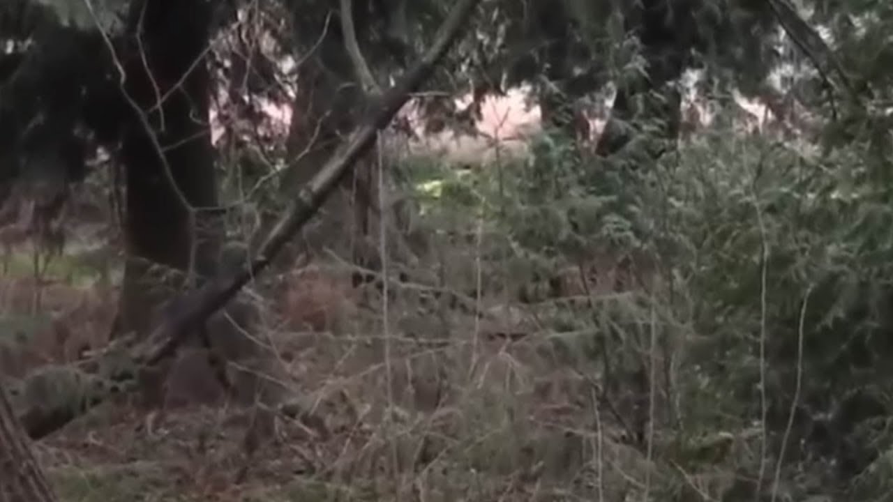 5 Shadow People Caught on Camera & Spotted in real life - Paranormal ...