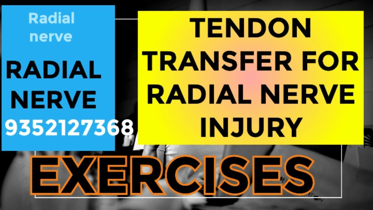 Radial nerve Recovery Exercise #physiotherapy #postoperative #hand #bpi ...