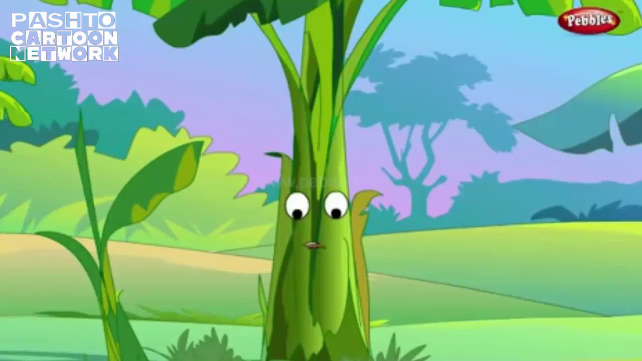 Pashto Cartoon 2018 Stories For Kids II Pashto Cartoon Network II ...