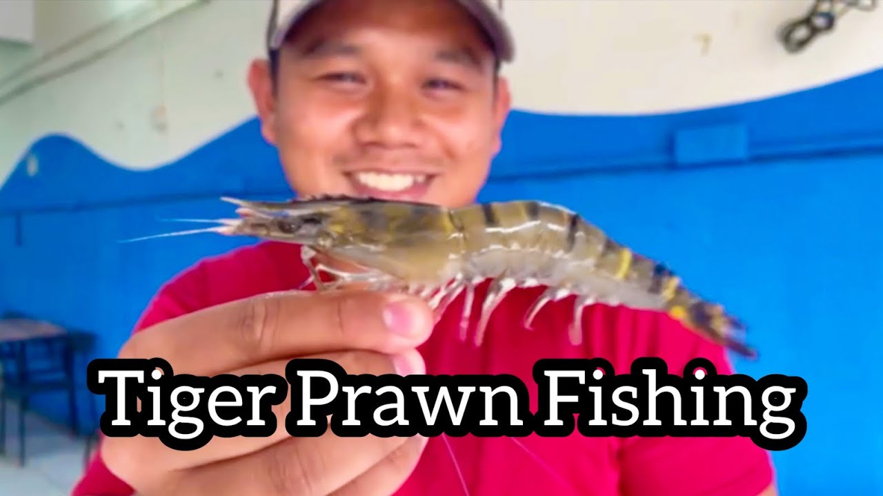 Memancing Udang Harimau Kolam || #JomPancing85 - YouTube