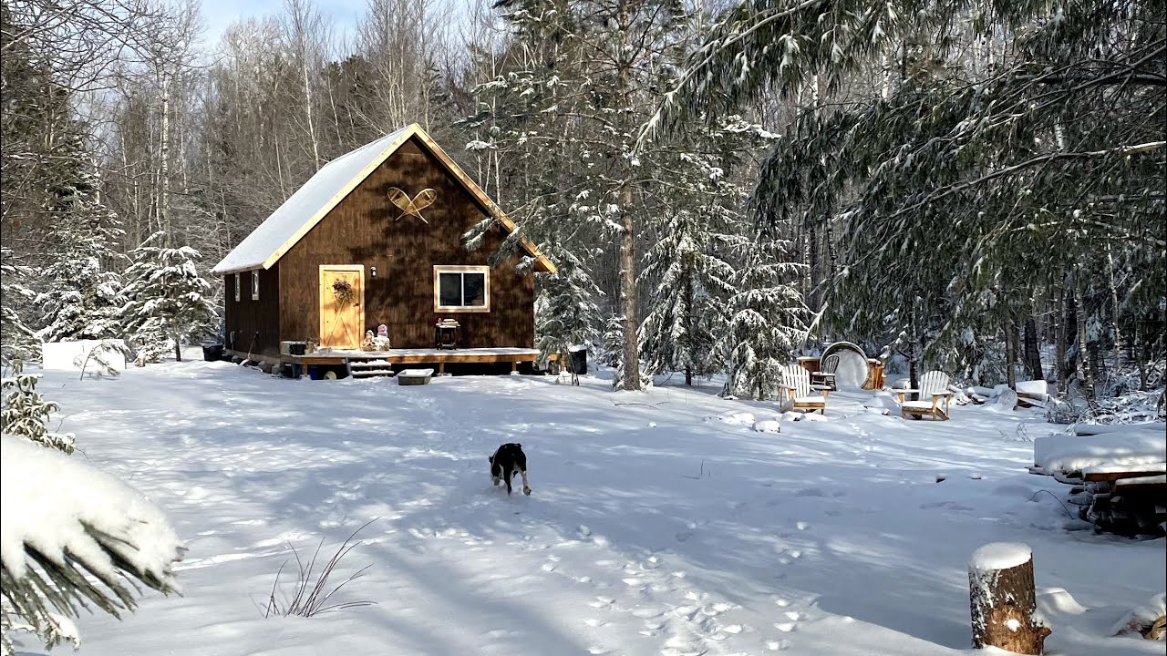 FEEDING the WILD ANIMALS at the OFF GRID HOMESTEAD - YouTube