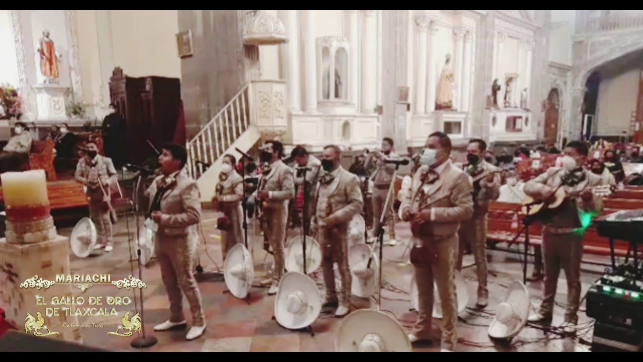 MI CARIÑITO / MARIACHI EL GALLO DE ORO DE TLAXCALA - YouTube