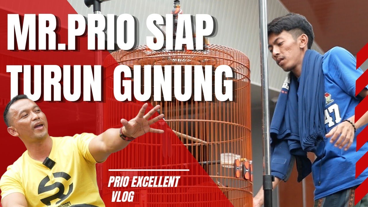 MR.PRIO SIAP TURUN GANTANGAN || PRIO EXCELLENT VLOG - YouTube