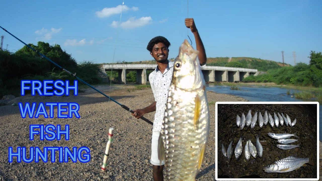 #FRISH WATER FISHING catching a small fish - YouTube