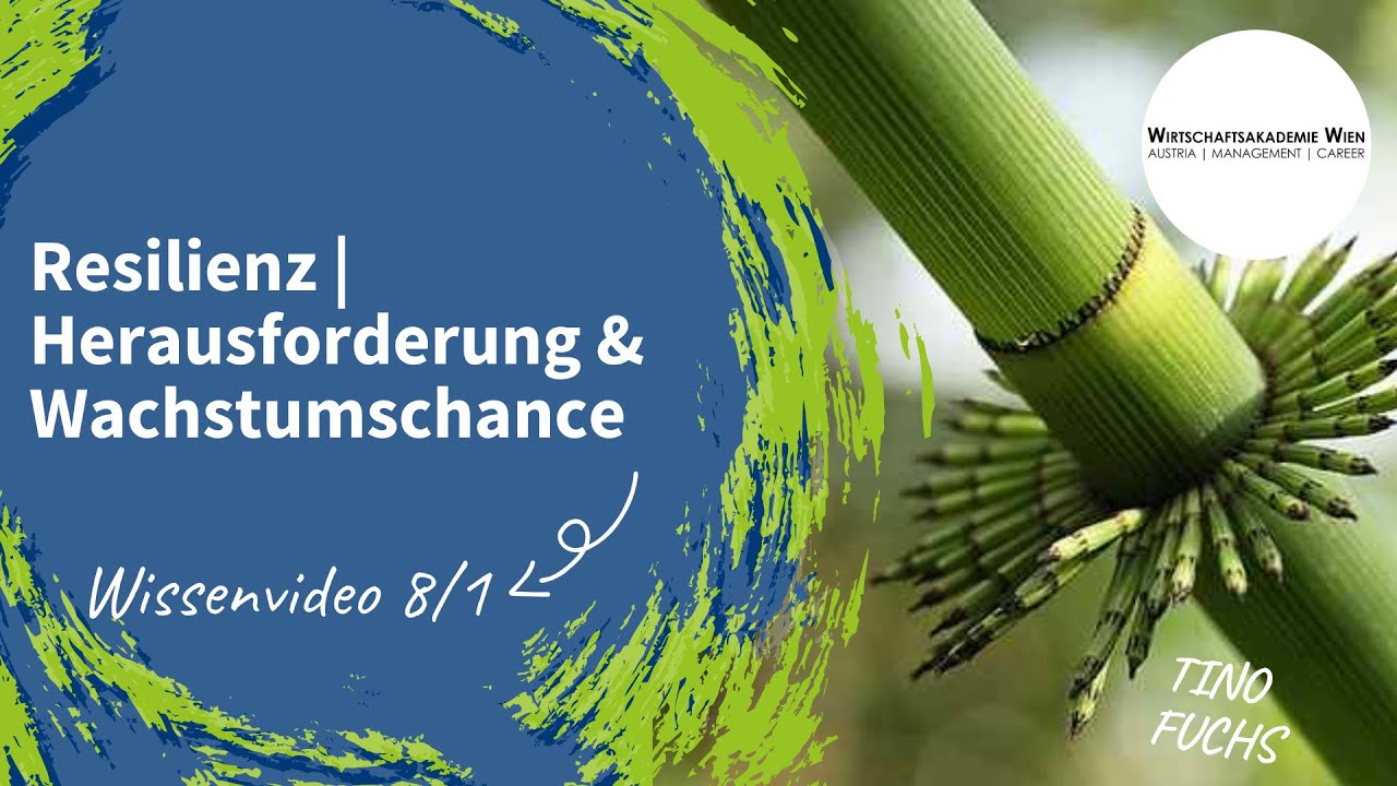 Resilienz | Herausforderung & Wachstumschance (1/3): Einführung in die ...