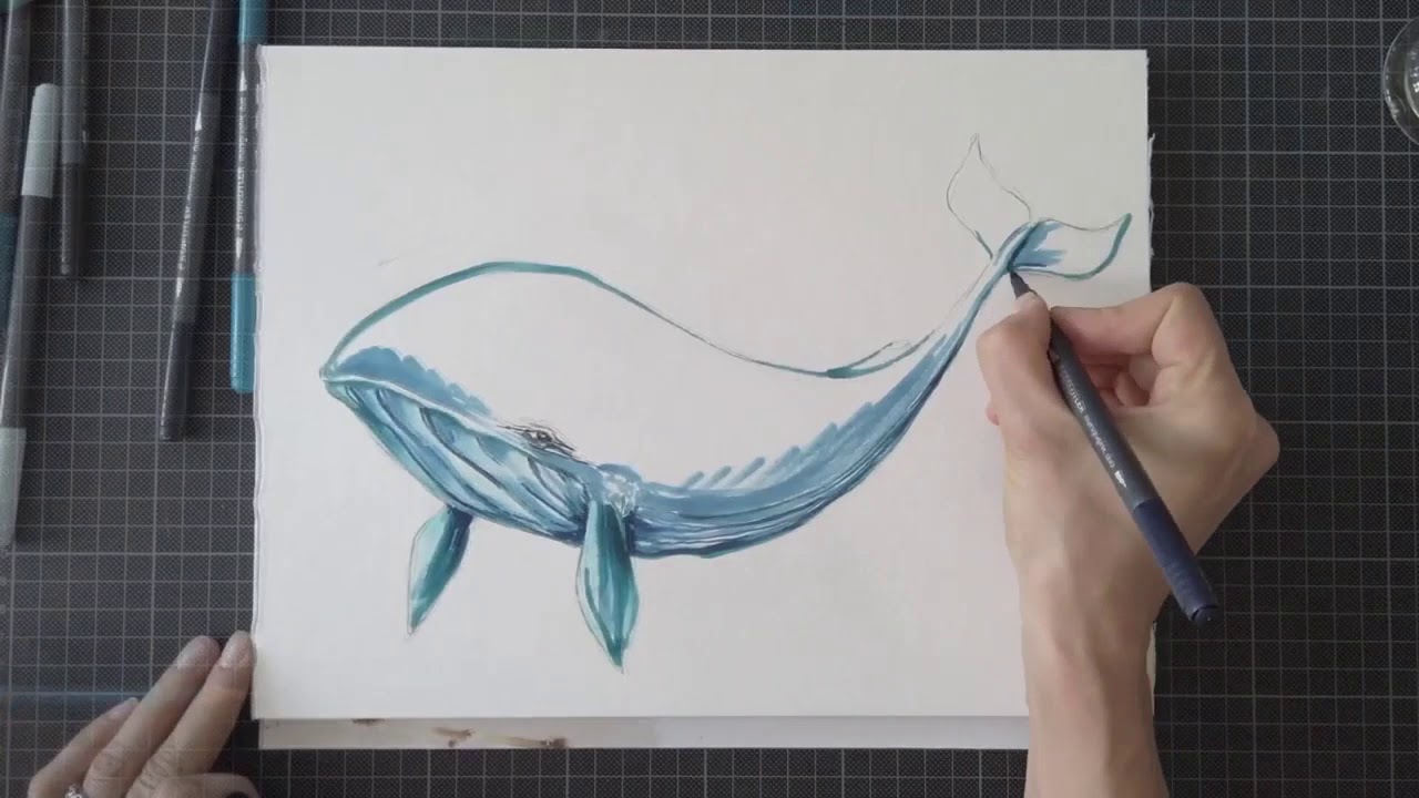 Desenam o balena cu cariocile Marsgraphic Duo de la Staedtler - YouTube