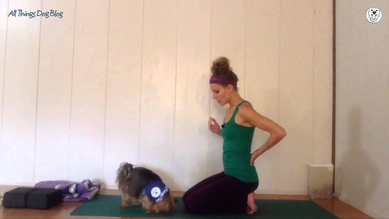 Doga Pose 5: Downward Facing Dog - YouTube
