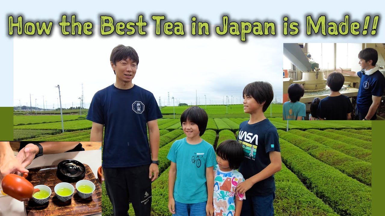 The Process of Making Japanese Tea / 日本茶 / We Asked a Japanese Tea ...