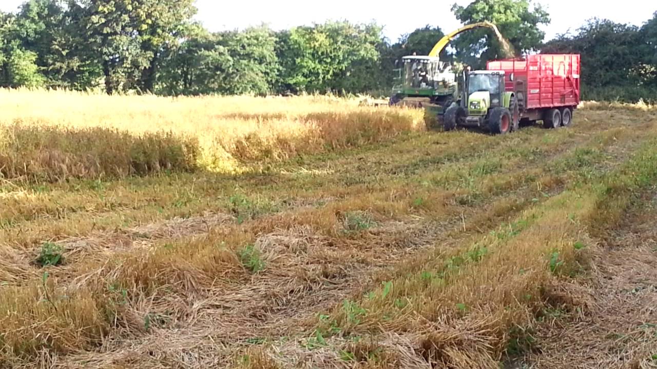 Wholecrop silage Ireland - 2016 - YouTube