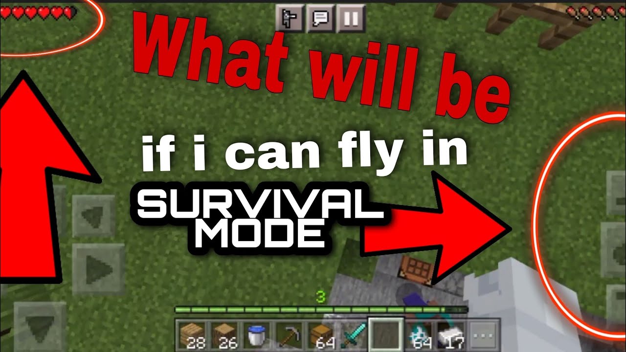 What if i can fly in survival mode/MINECRAFT BUGING - YouTube