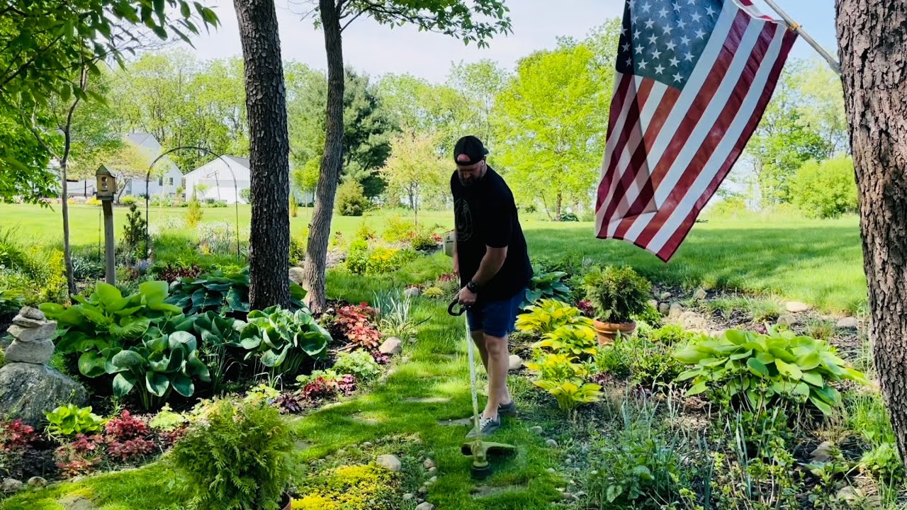 Moving plants from the landscape to pots to make room for deck steps ...
