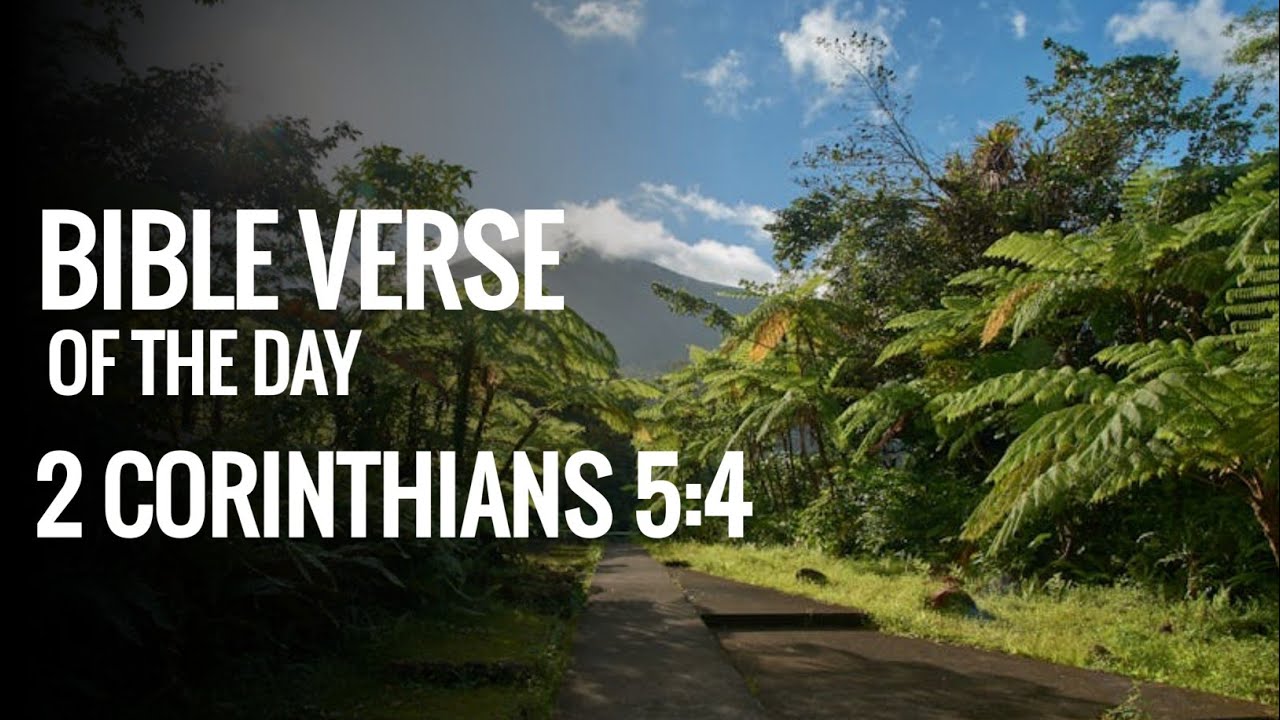 2 Corinthians 4:5/Bible verse of the day - YouTube