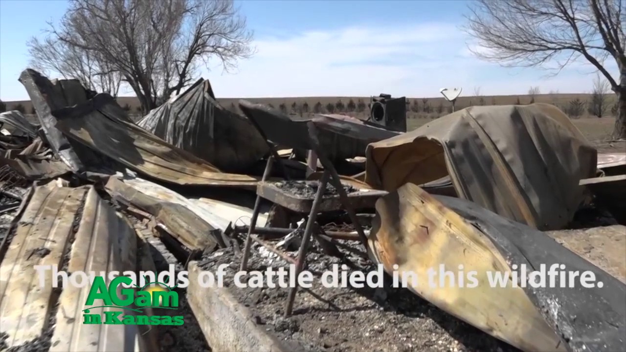 AGam in Kansas - Steve and Kelly Hazen Reflect on Starbuck Wildfire ...