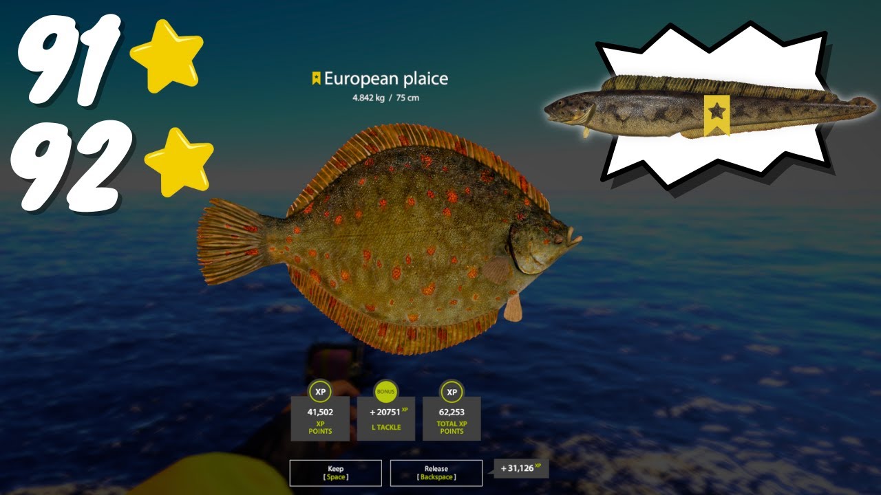 EUROPEAN PLAICE & VIVIPAROUS EELPOUT TROPHY IN NORWAY SEA | Russian ...