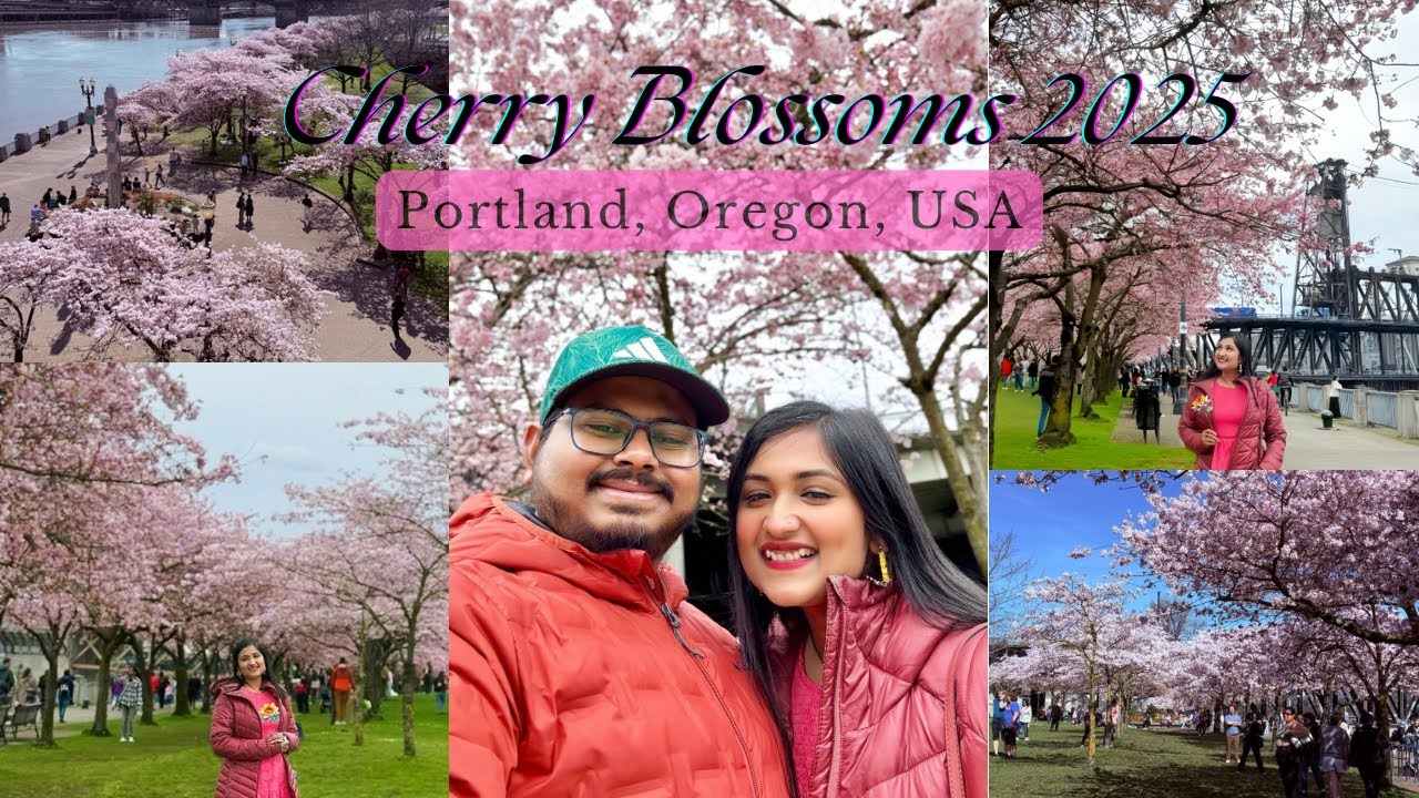 Portland in Bloom : The best Cherry Blossoms one can’t miss! #spring # ...