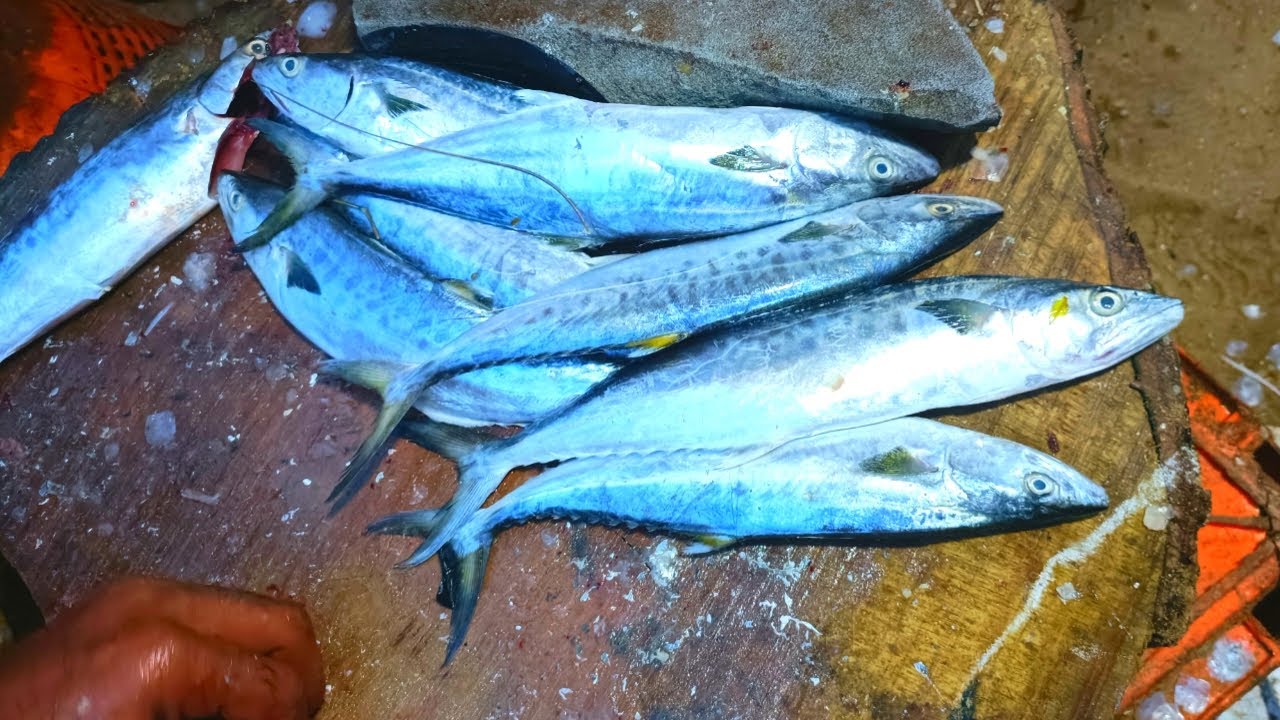 Chinna Vanjaram & Uda Meen Cutting & Chopping / Talent Fish Cutter ...