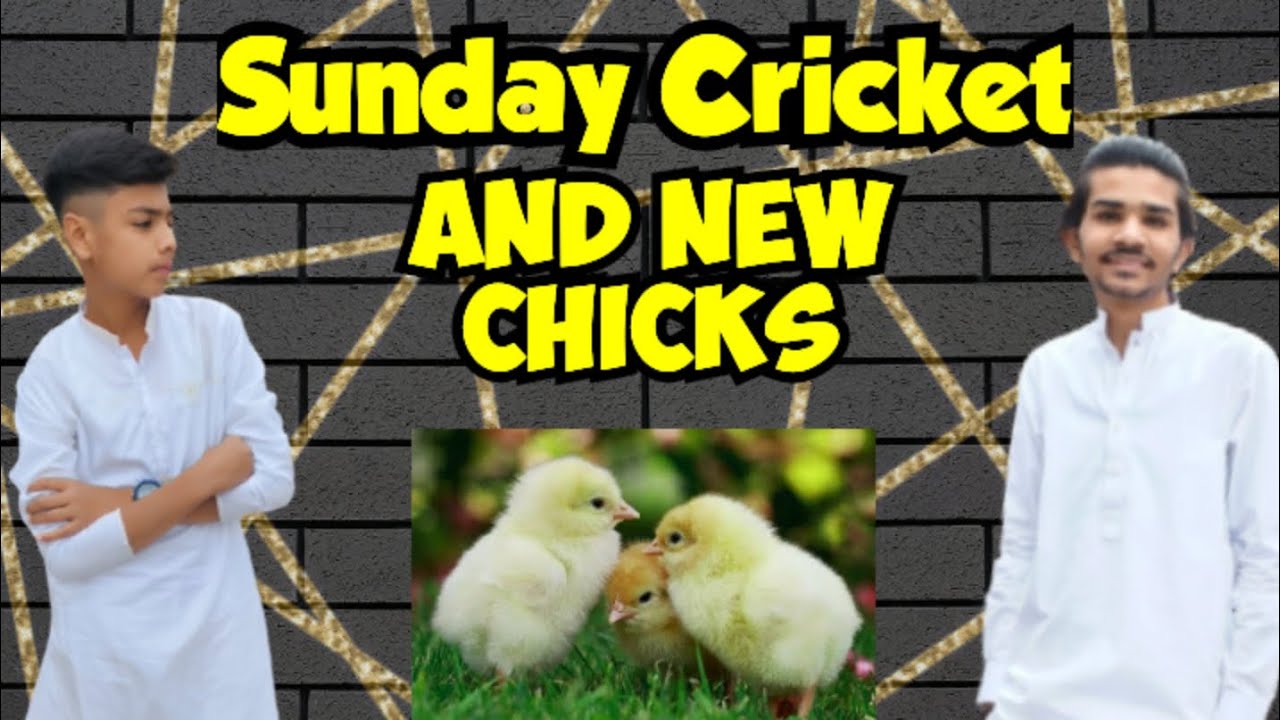Sunday cricket vlog after a long time - YouTube