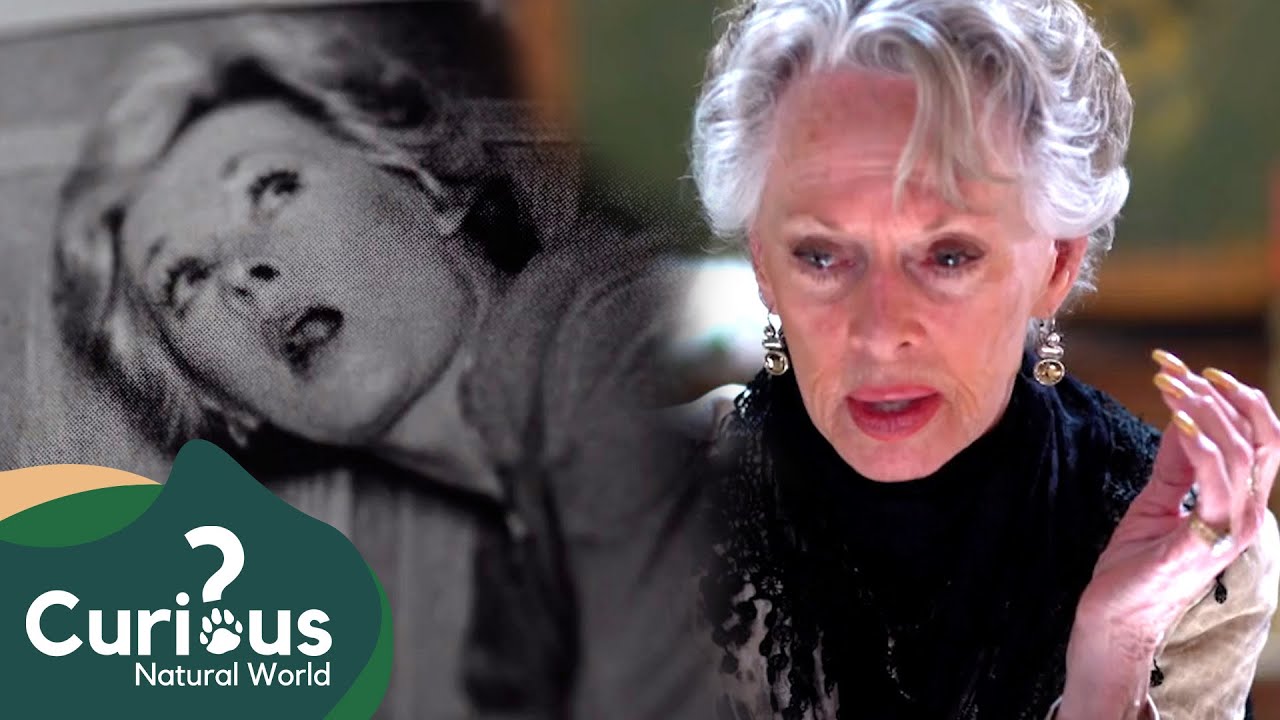Meet Tippi Hedren: Hollywood actress and... Tiger owner?! 😳 - YouTube