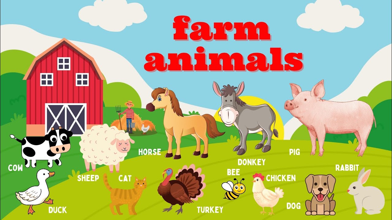 Learn the FARM ANIMAL Names || English Vocabulary - YouTube
