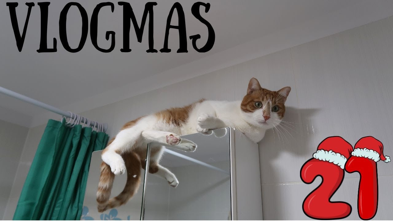 VLOGMAS 21 ️ - YouTube