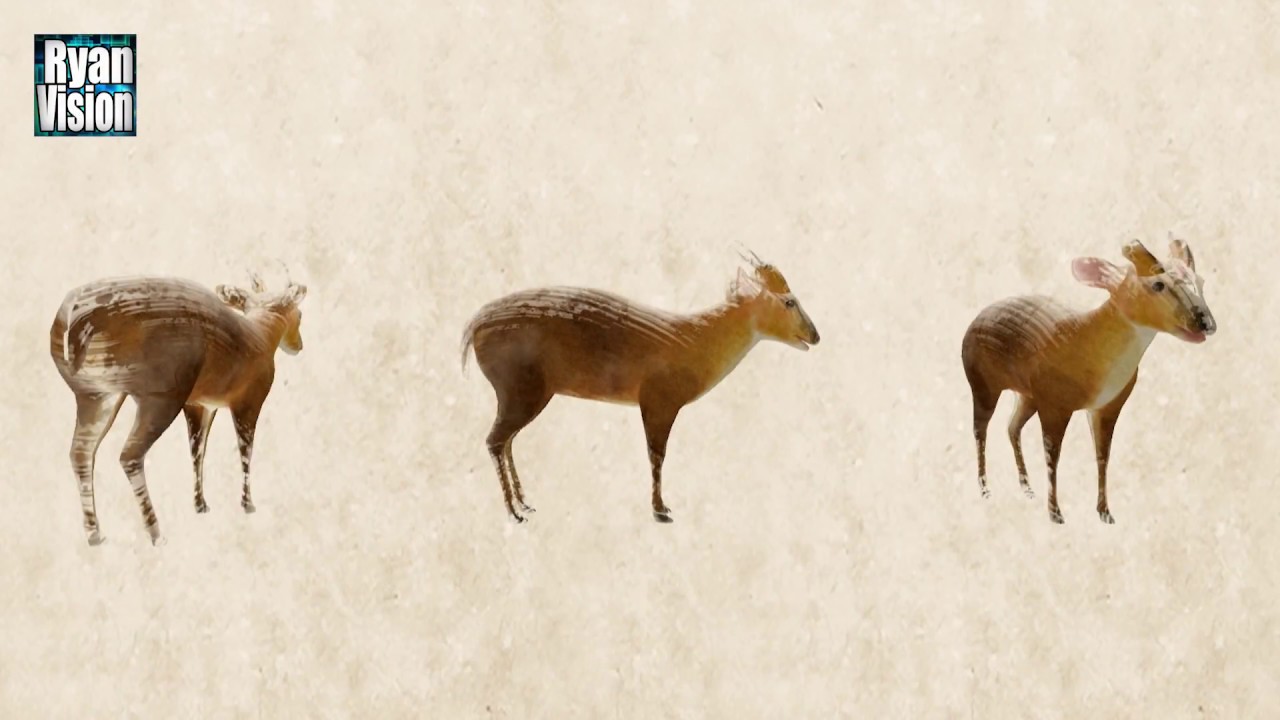 Unity 5.6 Traditional Chinese Painting Effect 國畫風格測試 - YouTube