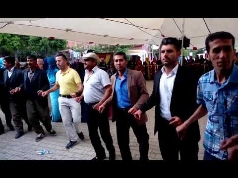 Hakkari düğünleri  Govend Kürtlerin Halayi  (Kurdish Wedding) bay köy