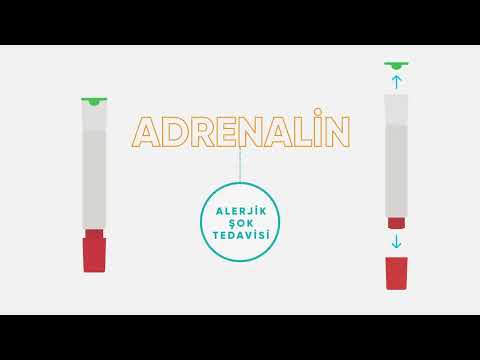 Alerjik Şok Eğitim Programı