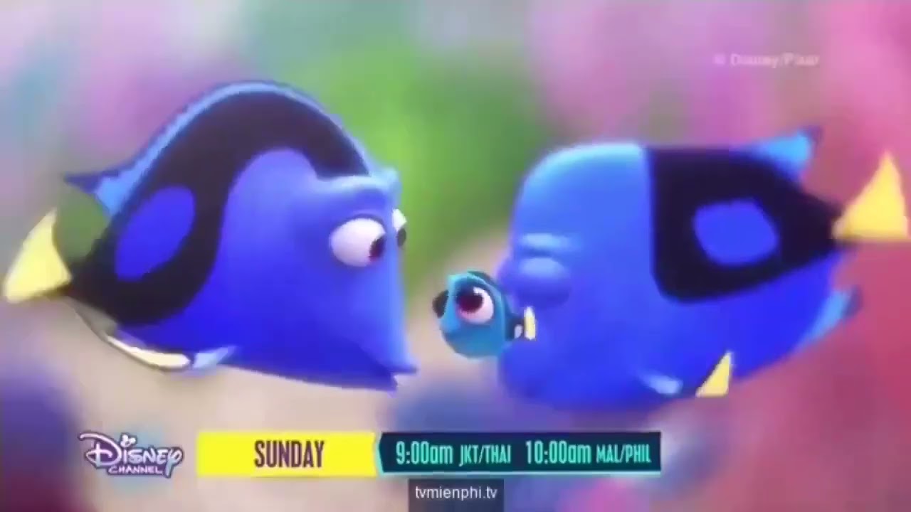 Finding Dory (2016) Disney Channel promo (Southeast Asia) 6/16/20 - YouTube