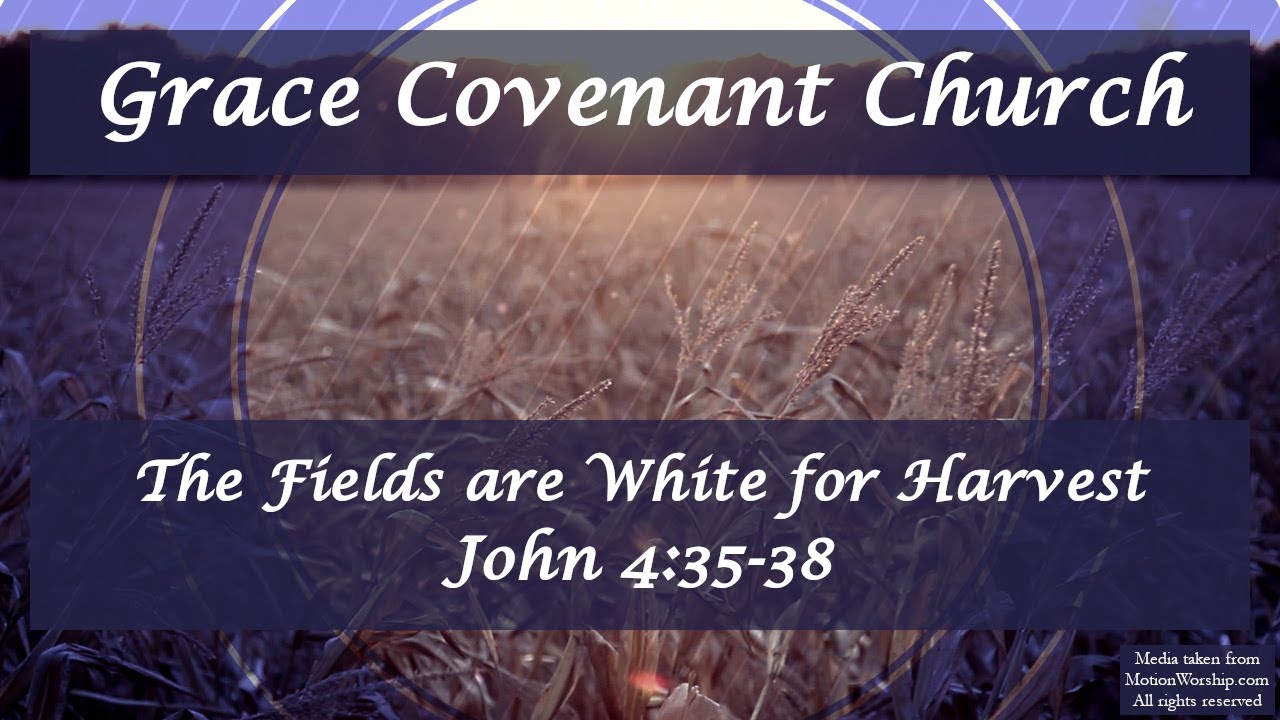 The Fields Are White For Harvest John 4 35 38 YouTube The Fields Are White For Harvest John 4 35 38 YouTube